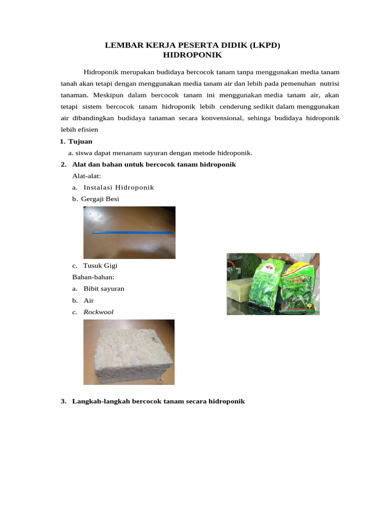 LKPD Hidroponik | PDF