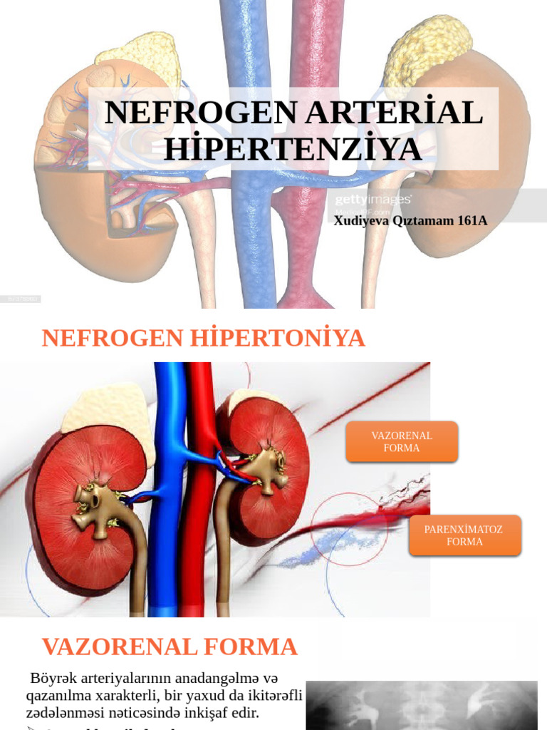 Nefrogen Art Hioertenziya | PDF