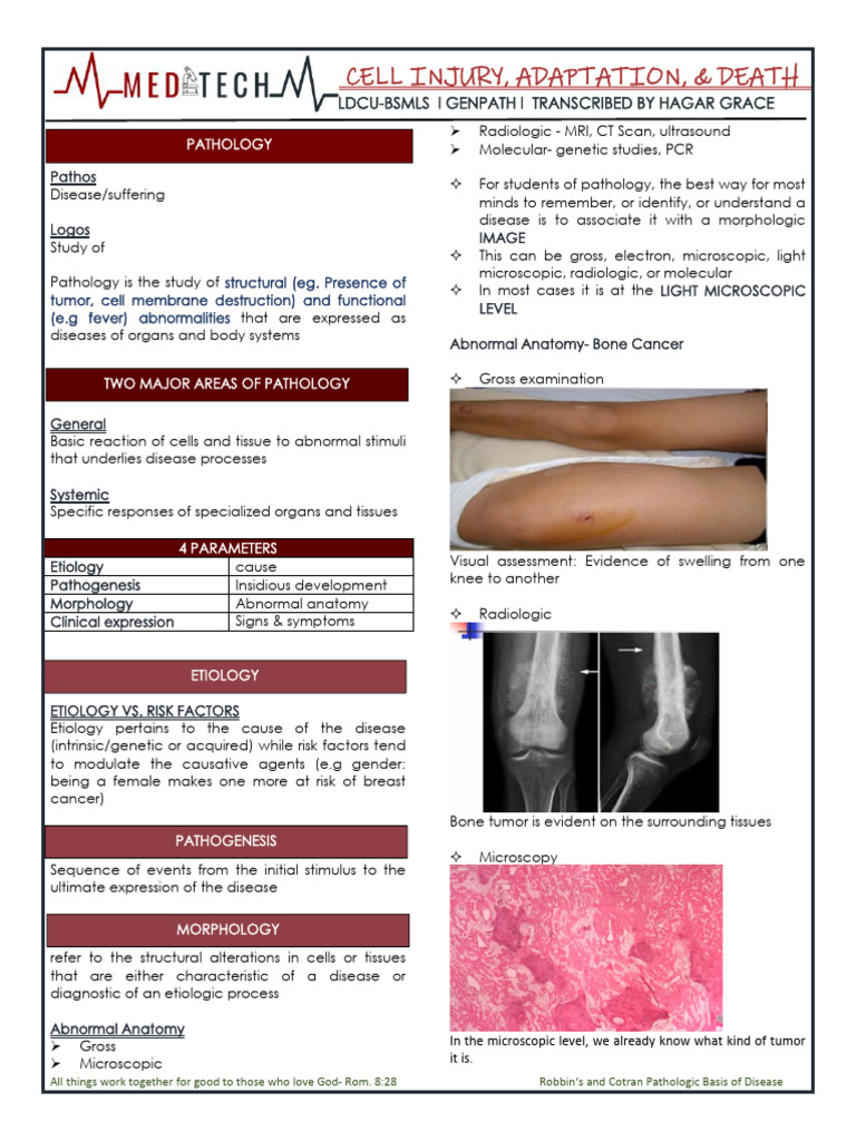 GenPath Prelims | PDF | Inflammation | Epithelium