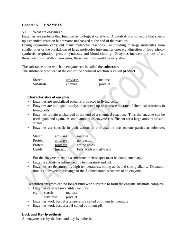 Grade 11 Chapter 5 Biology | PDF | Enzyme | Active Site