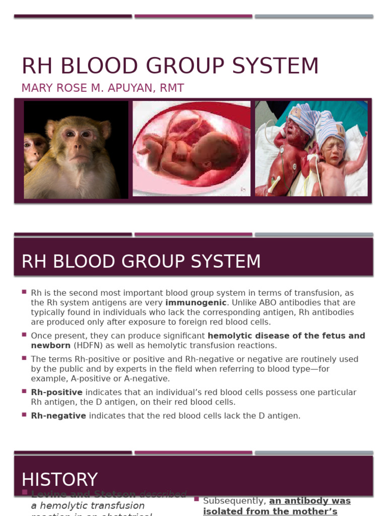 RH Blood Group System | PDF | Blood Type | Antibody