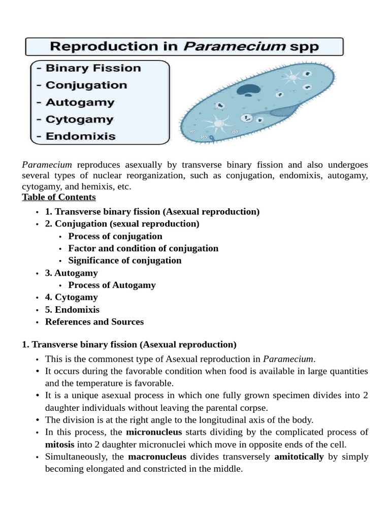 Paramecium Reproduction Methods Explained | PDF | Biological ...