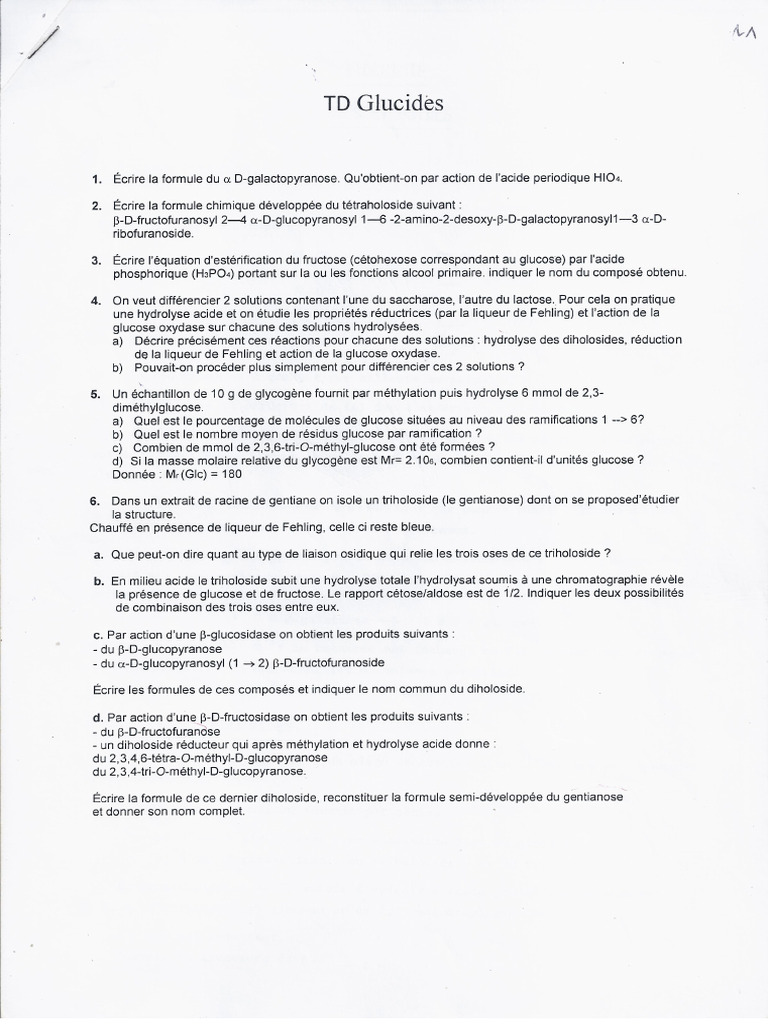 TD Glucides | PDF