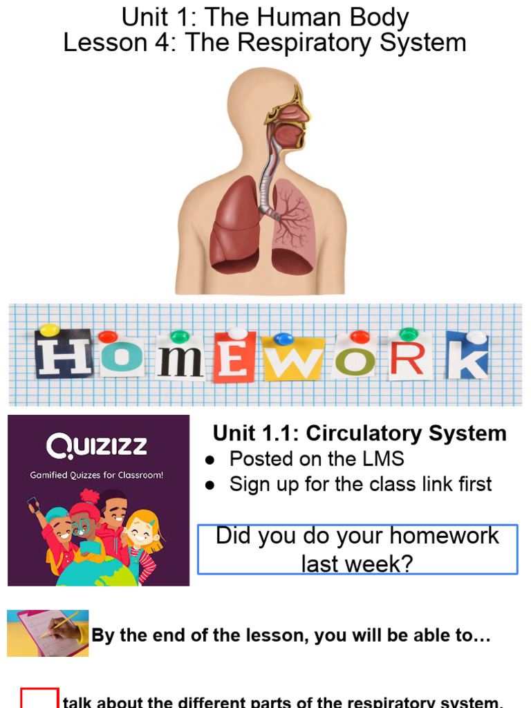 G5 Unit1 Lesson04 1.2 Therespiratorysystem1 | PDF | Breathing ...