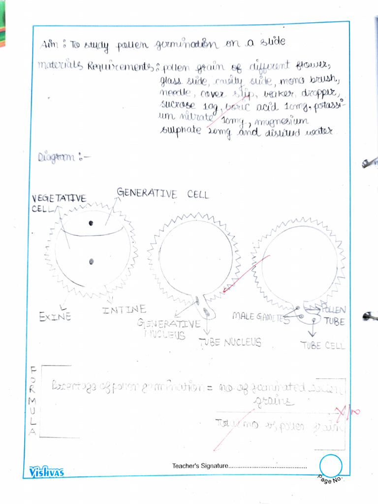 Biology Class +2 | PDF