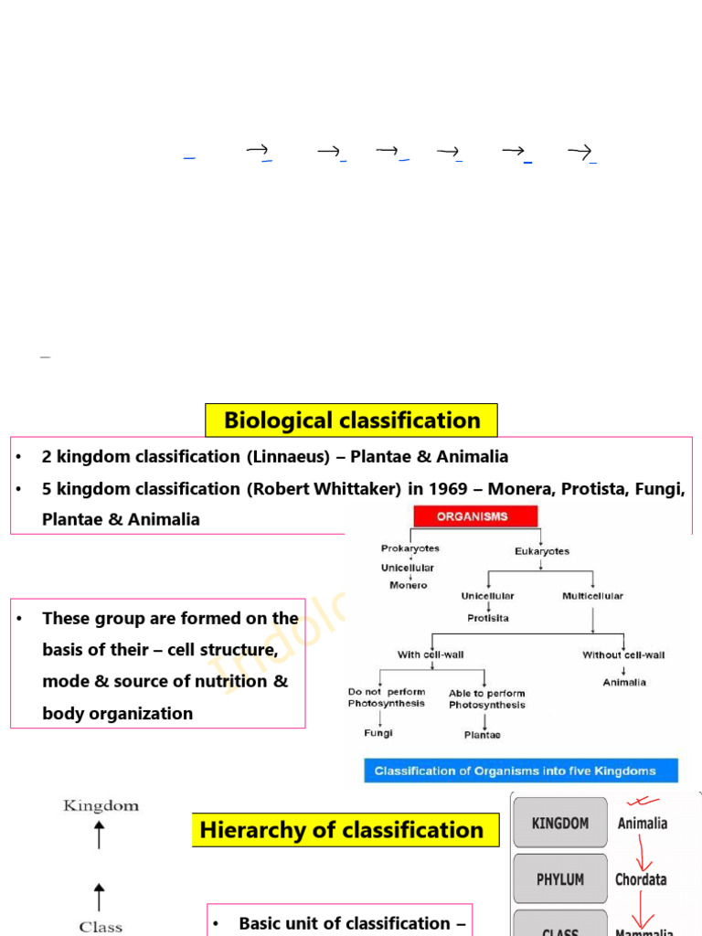 Bio 8- Classification of Organisms | PDF | Seed | Organisms