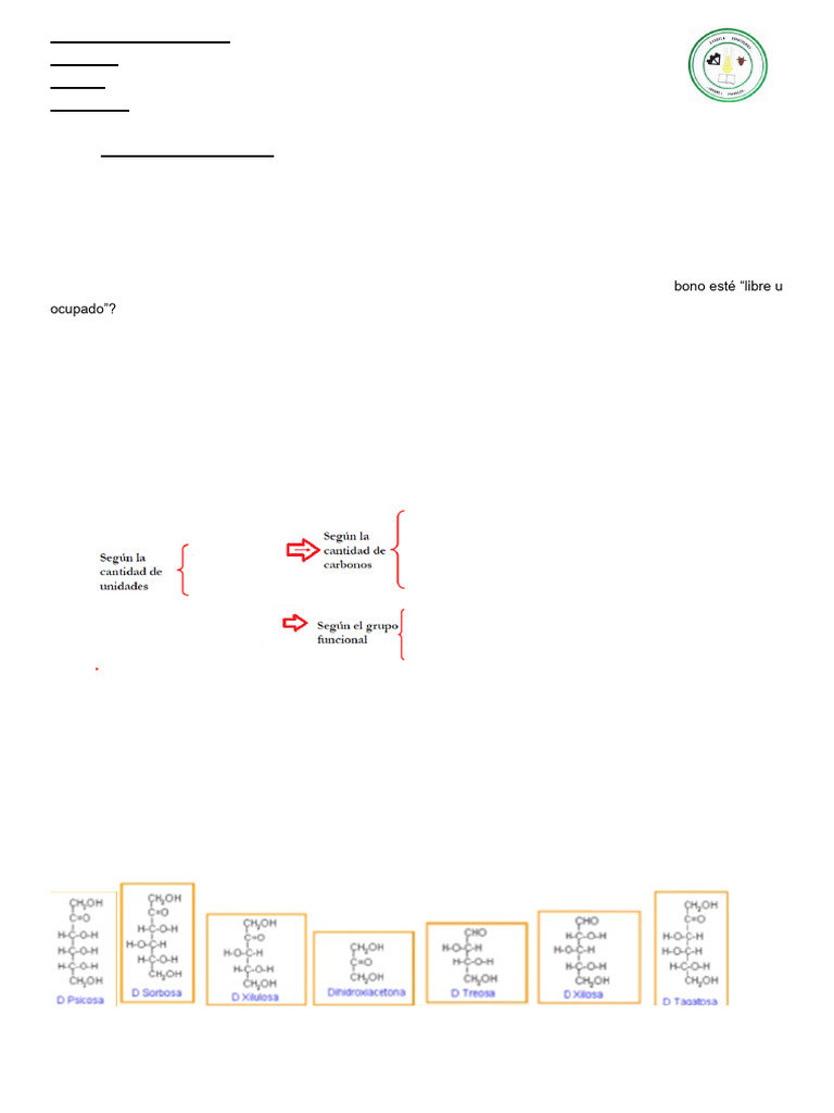 TP 13 (CUAT Repaso) | PDF | Carbohidratos | Lípido