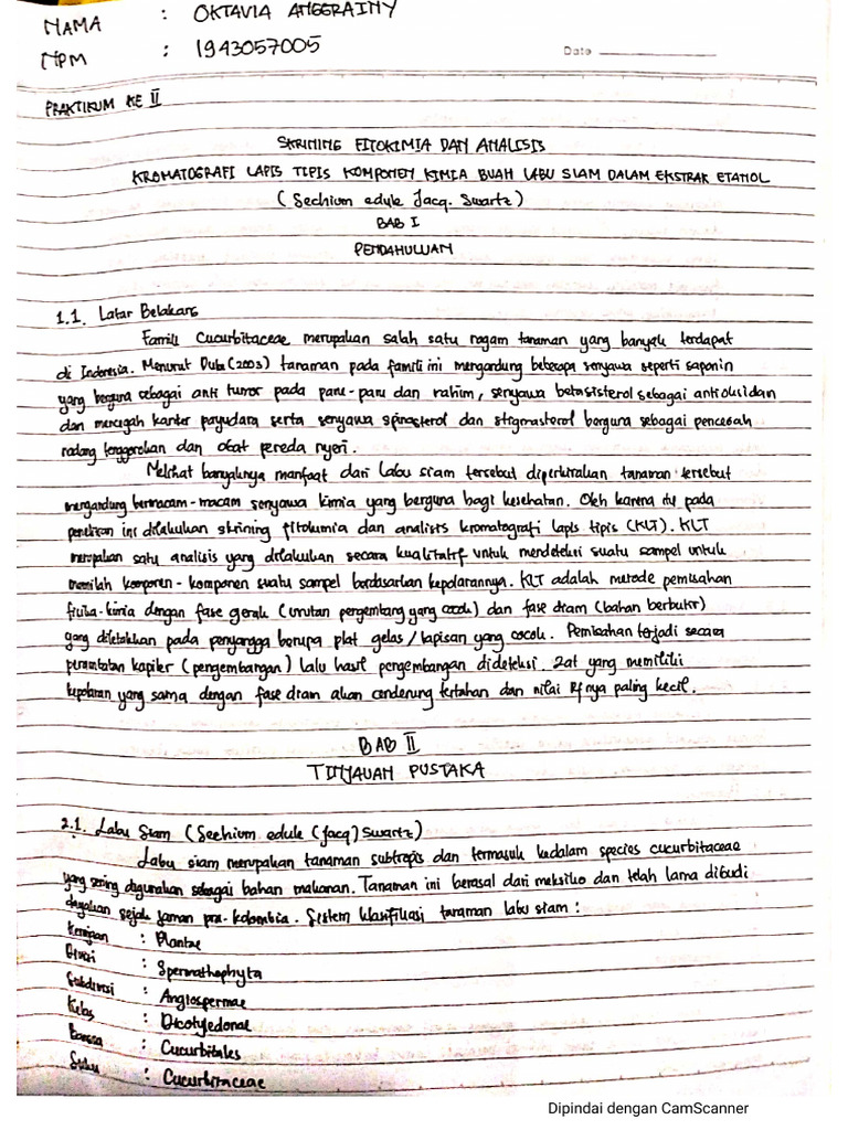 Laporan Fitokimia Oktavia Anggrainy 1943057005 | PDF