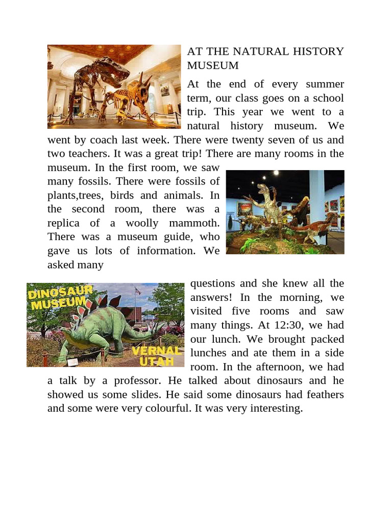 At The Natural History Museum | PDF