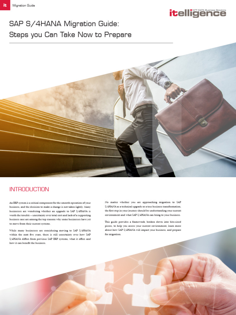 MigrationGuide Itelligence SAP S4HANA | PDF | Databases | Enterprise ...
