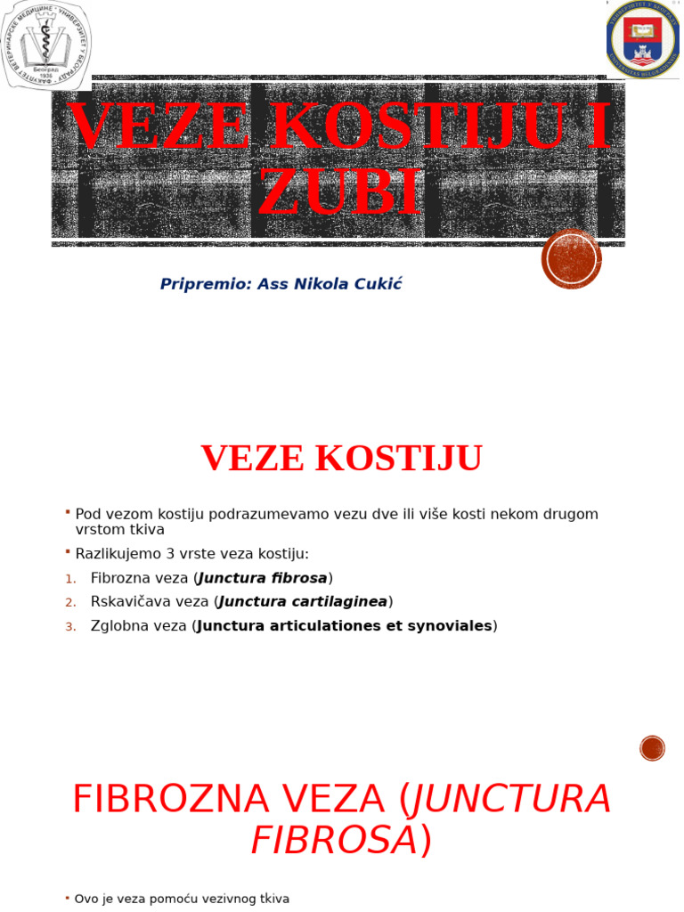 Veze Kostiju I Zubi | PDF