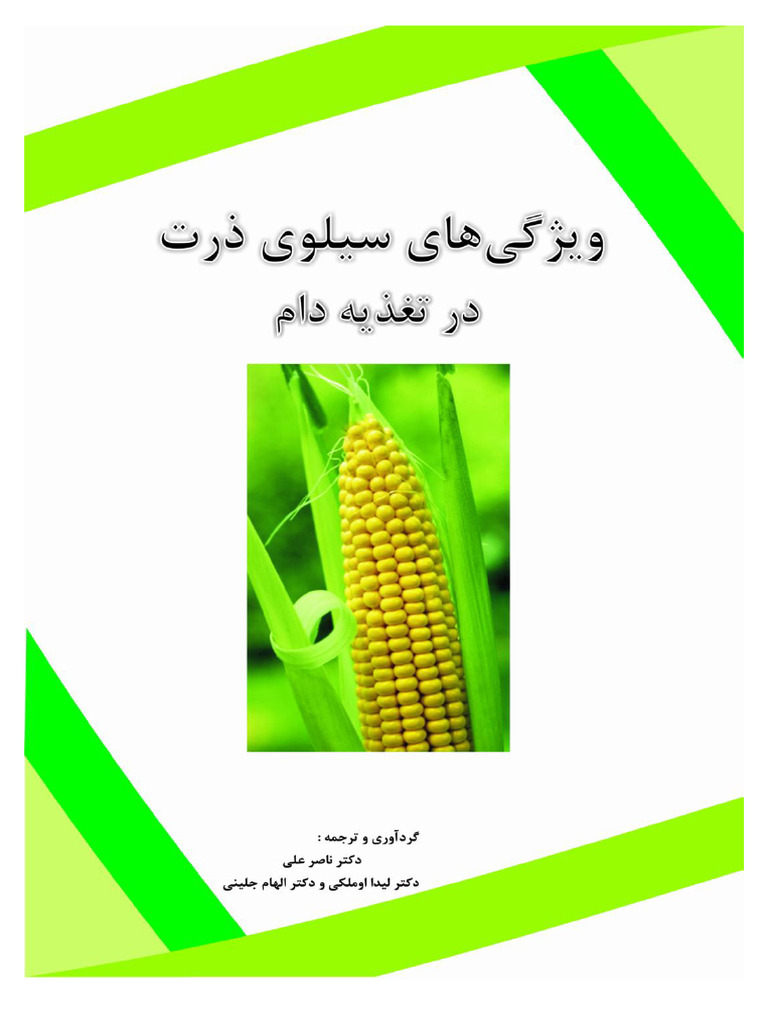 Silo | PDF