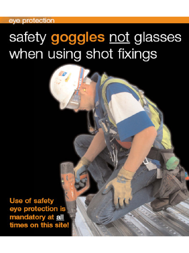 BSD - Eye Protection - Poster 2 | PDF
