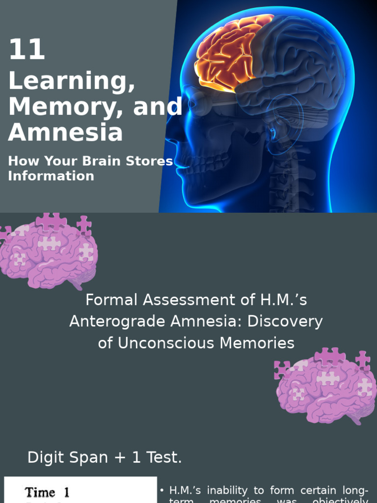 Group 5 Learning Memory and Amnesia | PDF | Memory | Amnesia