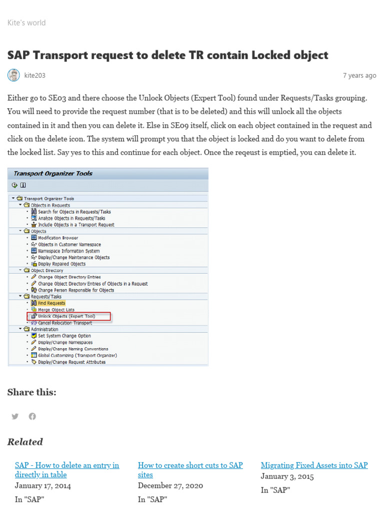 SAP Transport Request To Delete TR Contain Locked Object - Kite's World ...