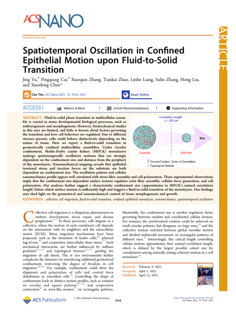 Spatiotemporal Oscillation in Confined Epithelial Motion Upon Fluid-to-Solid Transition | PDF ...