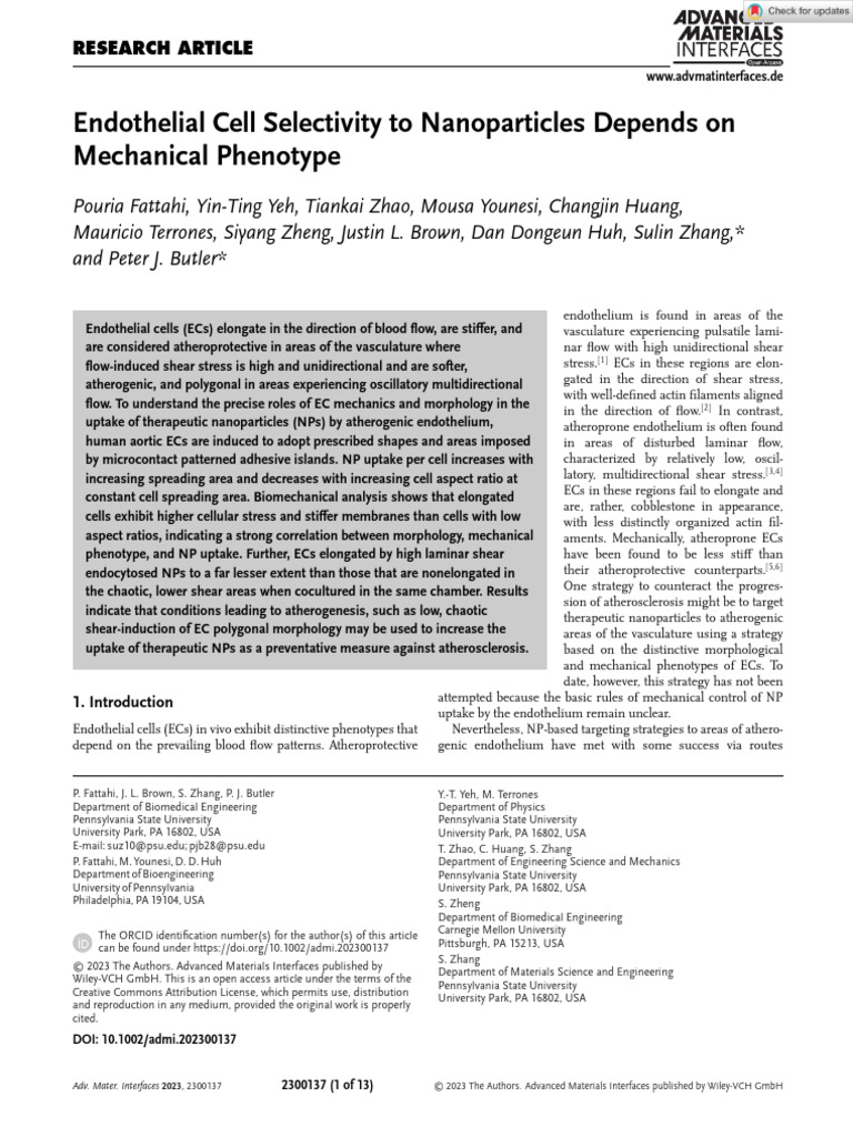 Endothelial Cell Selectivity To Nanoparticles Depends On Mechanical ...