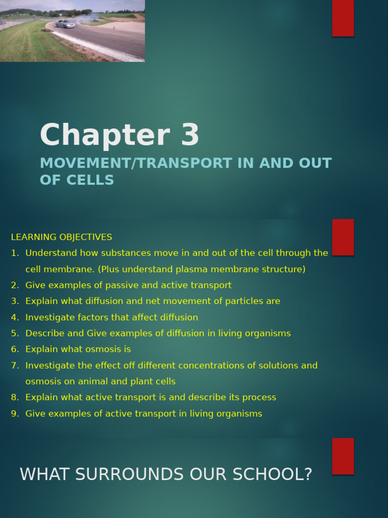 Chapter 3 Movement in and Out of Cell | PDF | Osmosis | Cell Membrane