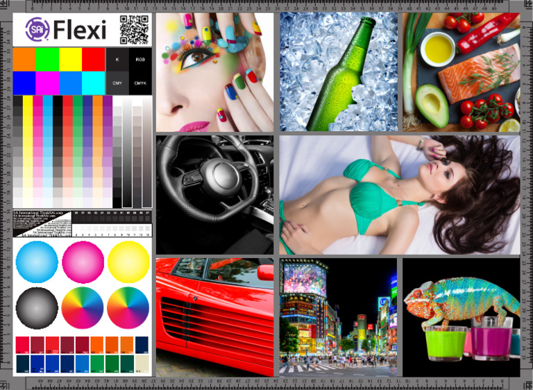 SAi FlexiPRINT Quality Sample 2019 | PDF