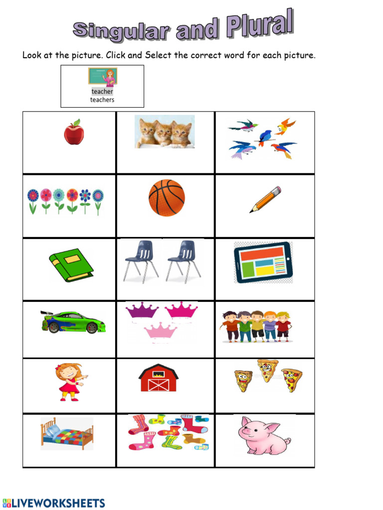 Picture Word Selection Activity | PDF