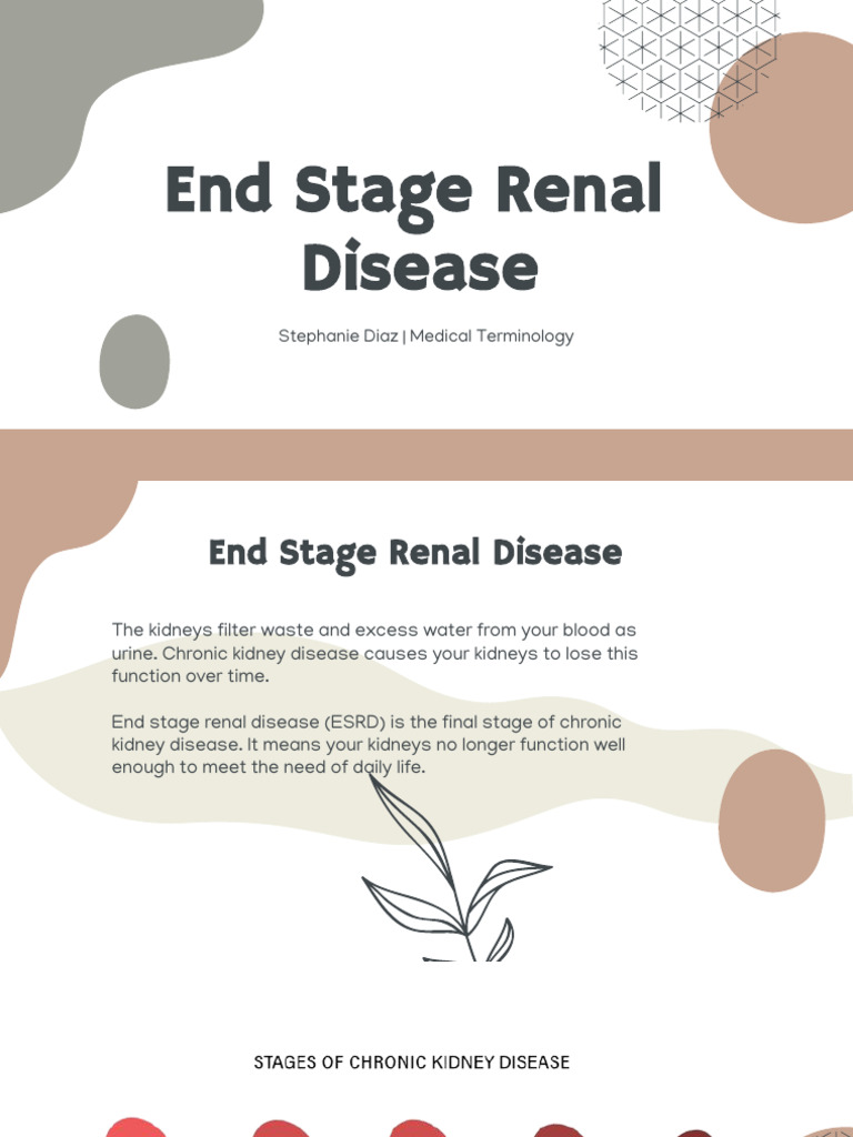 Understanding End Stage Renal Disease | PDF | Kidney | Chronic Kidney ...