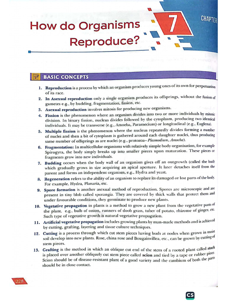 XAM IDEA How Do Organisms Reproduce 24-25 | PDF