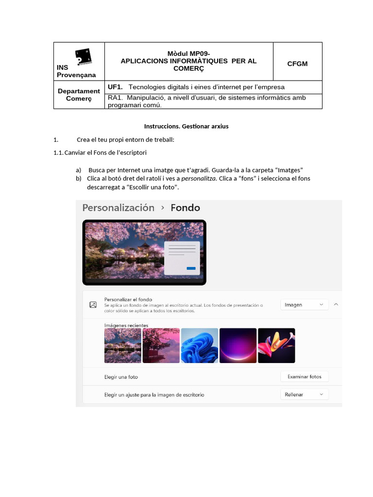 Instruccions. Gestió Darxius | PDF