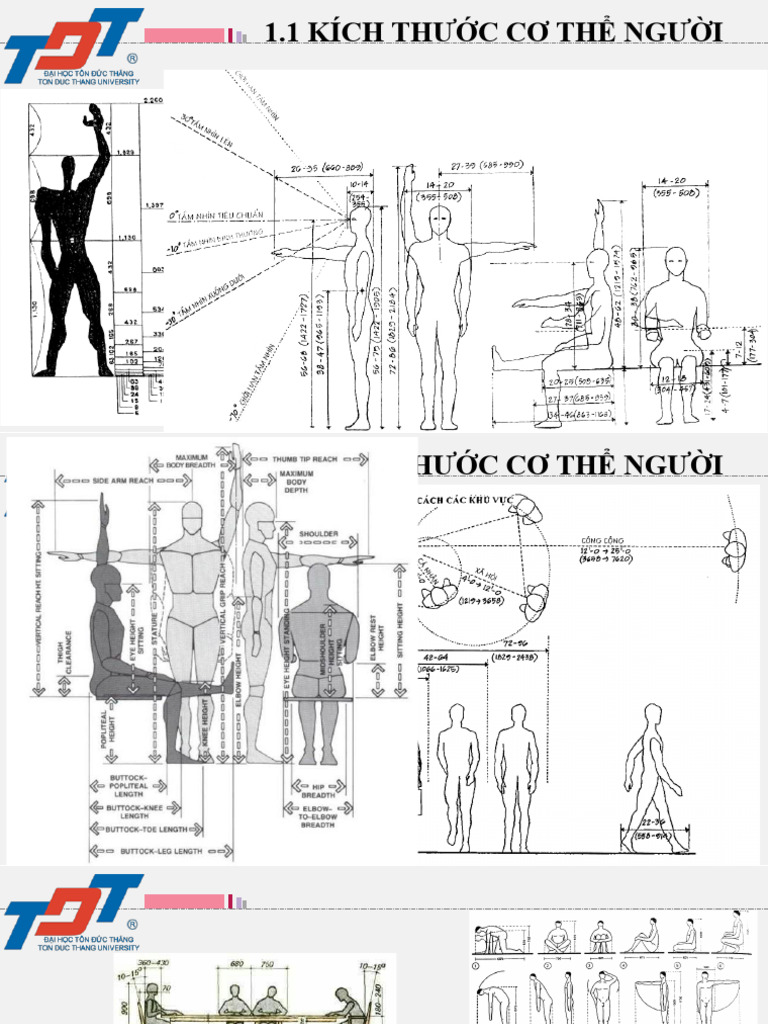 Gui Svien | PDF