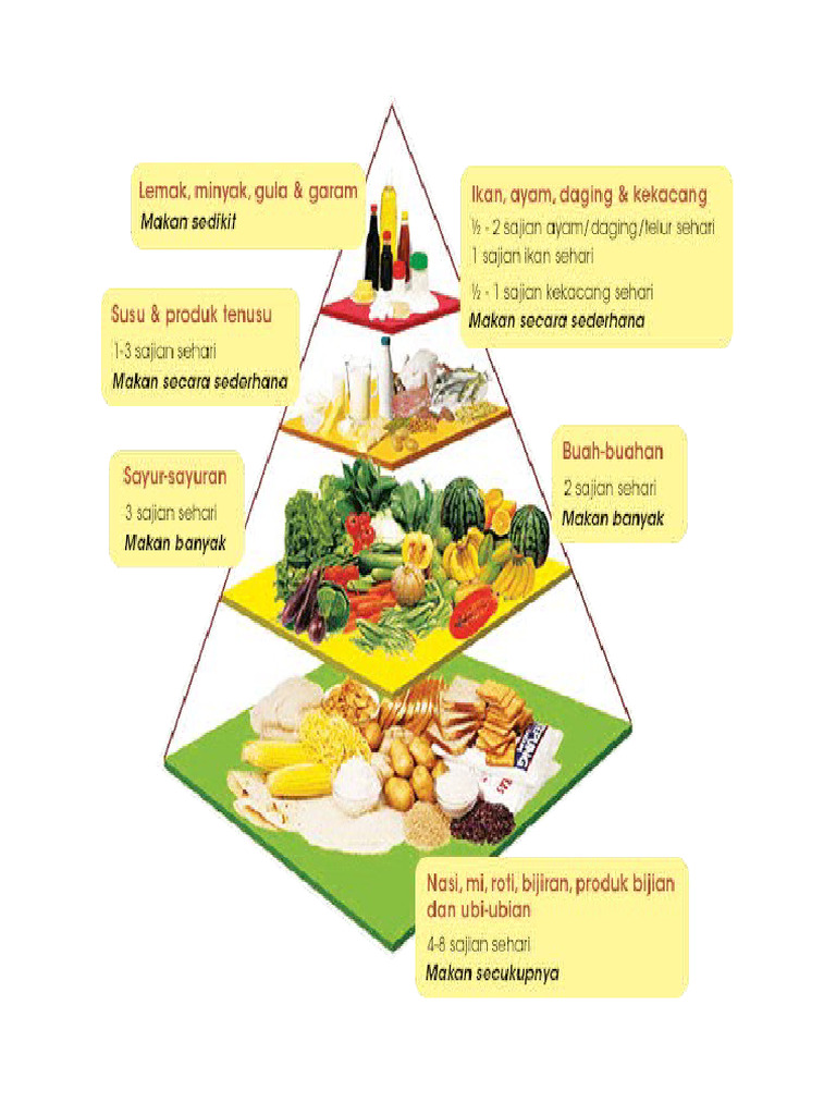 Piramid Makanan | PDF