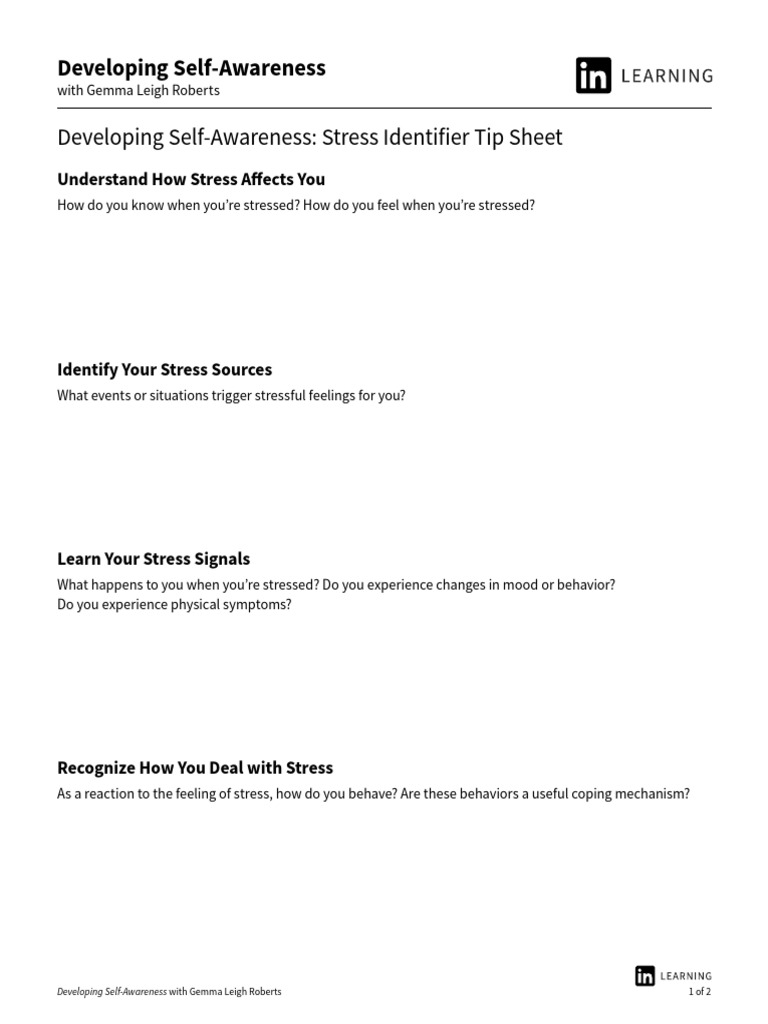 Stress Identifier | PDF | Stress (Biology) | Self Awareness