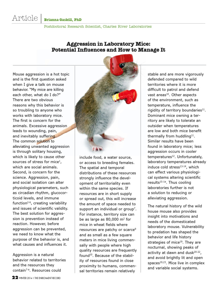 Aggression Lab Mice | PDF | Aggression | Mouse