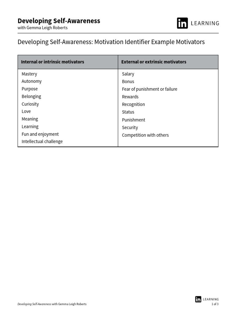 Motivation Identifier | PDF | Career & Growth | Self-Improvement