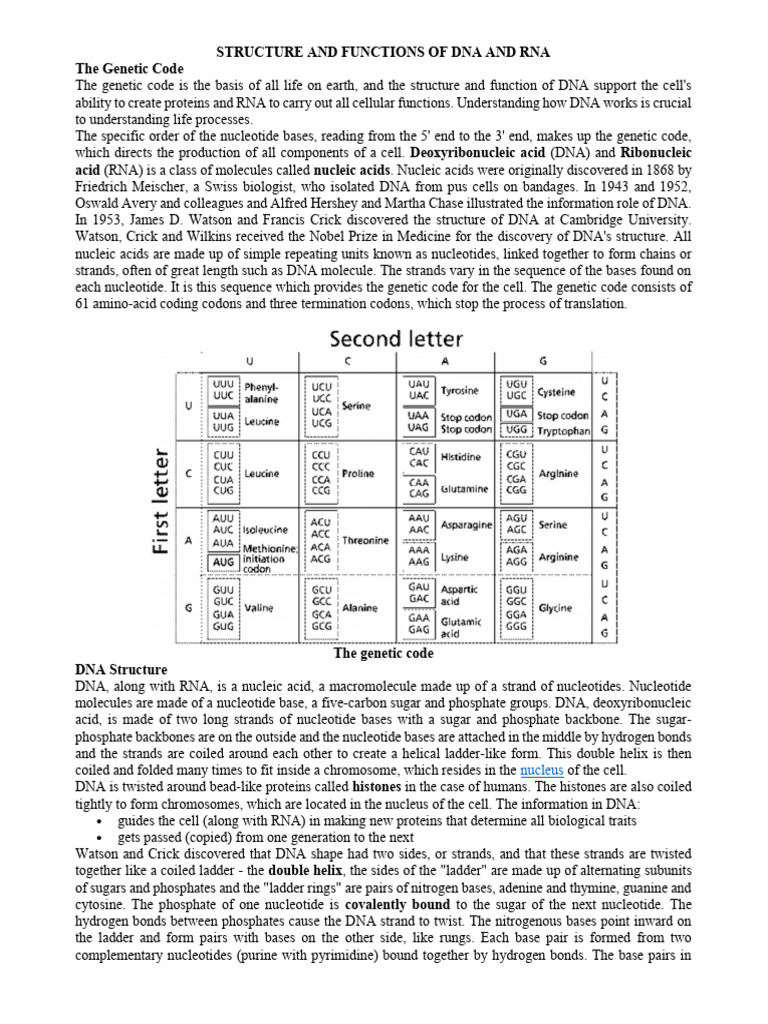 DNA - RNA Structure, Replication and Protein Synthesis - 014655 | PDF ...
