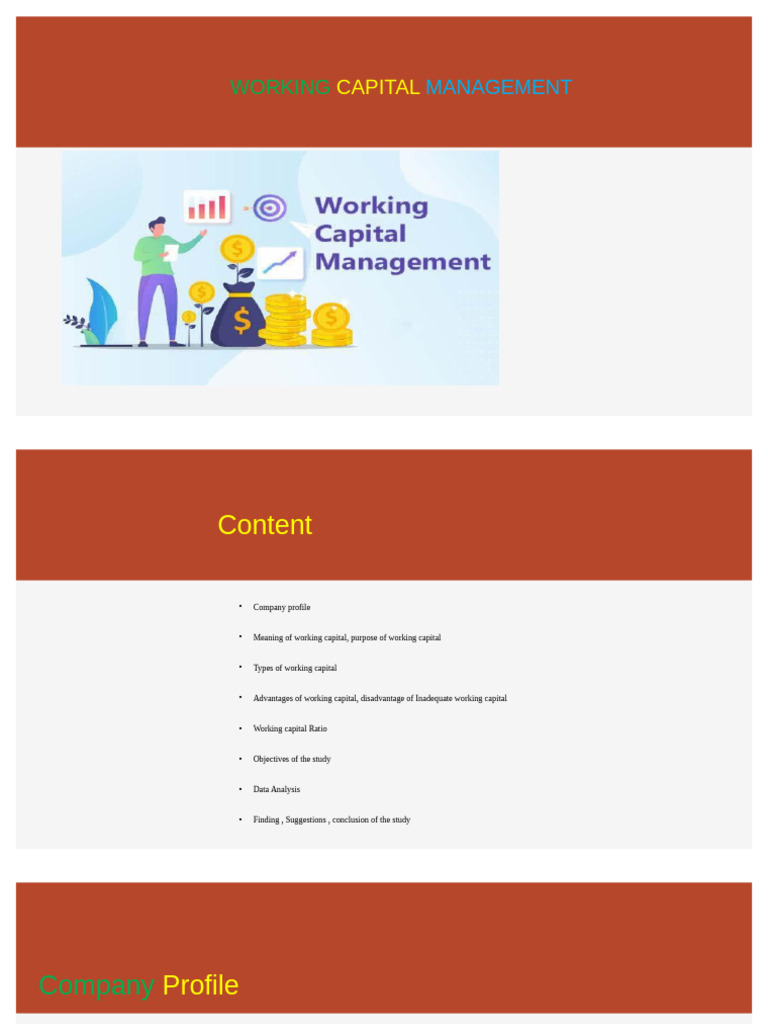 DOC-20231205-WA0014. | PDF | Working Capital | Sampling (Statistics)