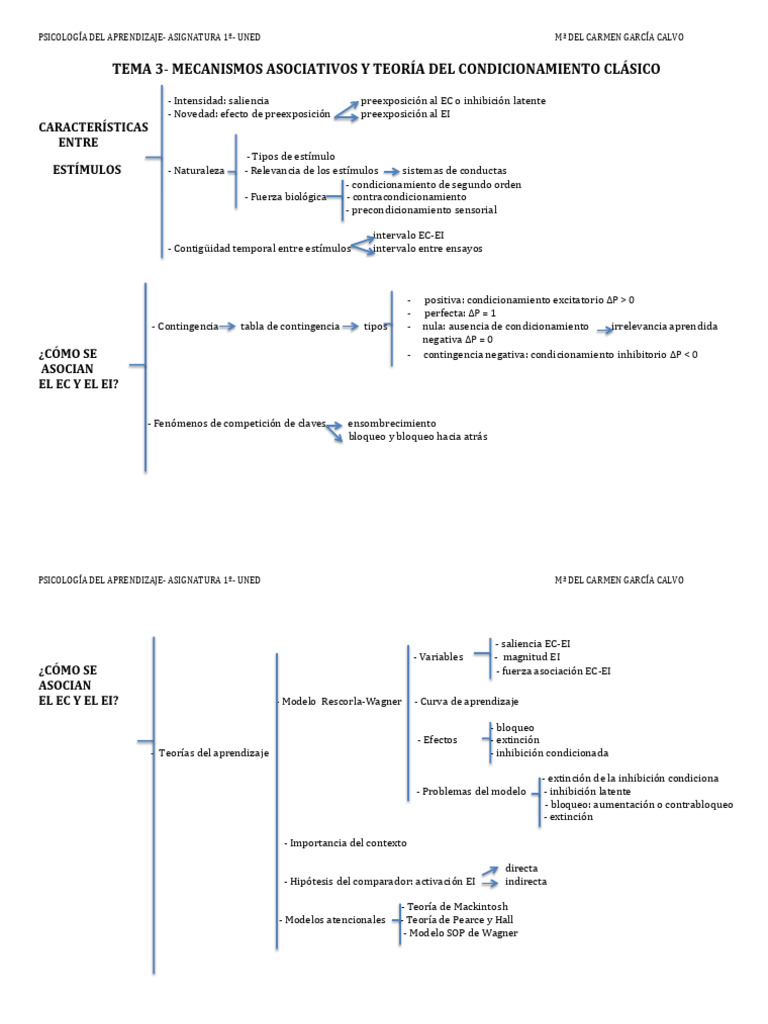 TEMA 3 Aprendizaje | PDF | Procesos mentales | Escuelas psicologicas