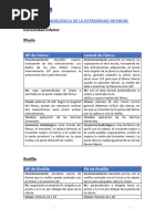 Proyecciones Axiales de Rótula en RX | PDF | Rodilla | Sistema ...