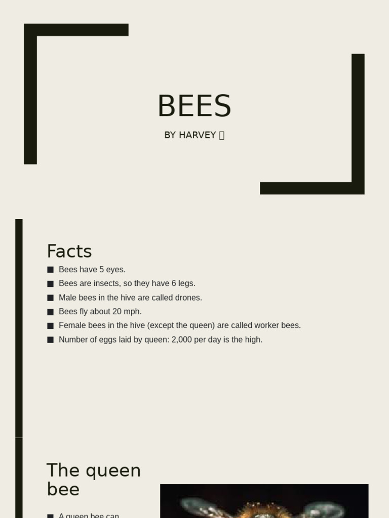 Bee Presentation | PDF | Home & Garden | Science & Mathematics