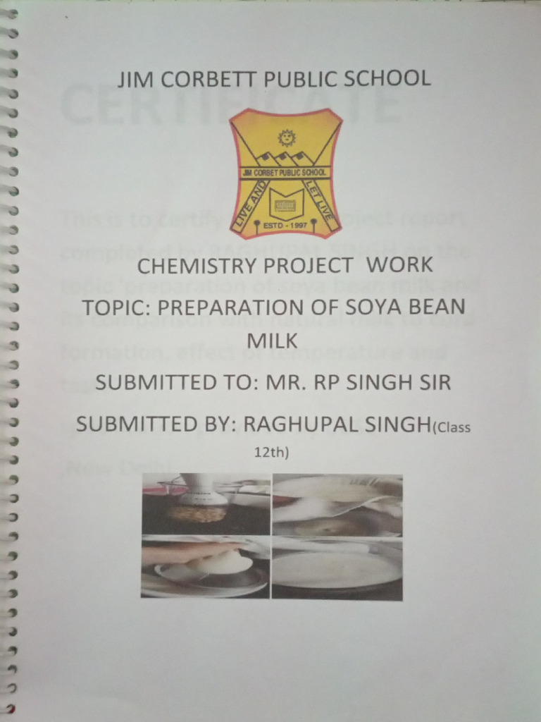 Project File 1 Pdf Milk Soy Milk 