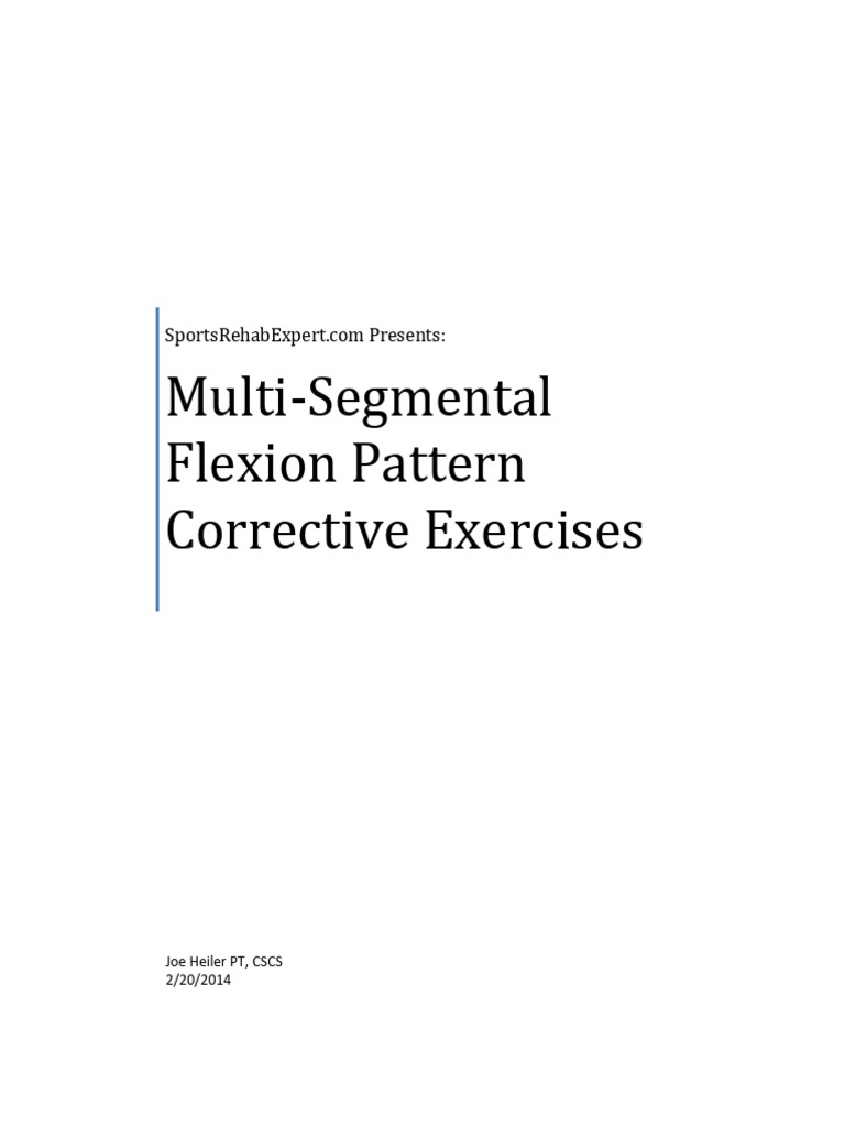 Multi-Segmental Flexion Exercises | PDF | Pelvis | Anatomical Terms Of ...