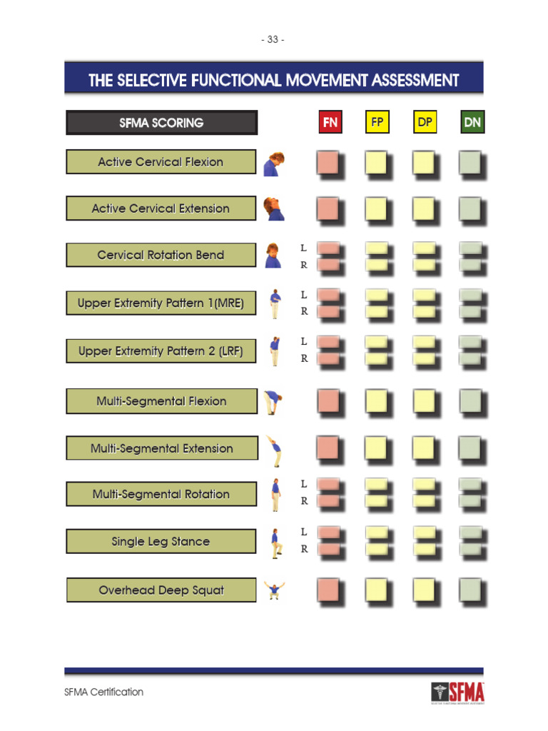 463a Sfma Version11 2015 Flowcharts | PDF | Anatomical Terms Of Motion ...