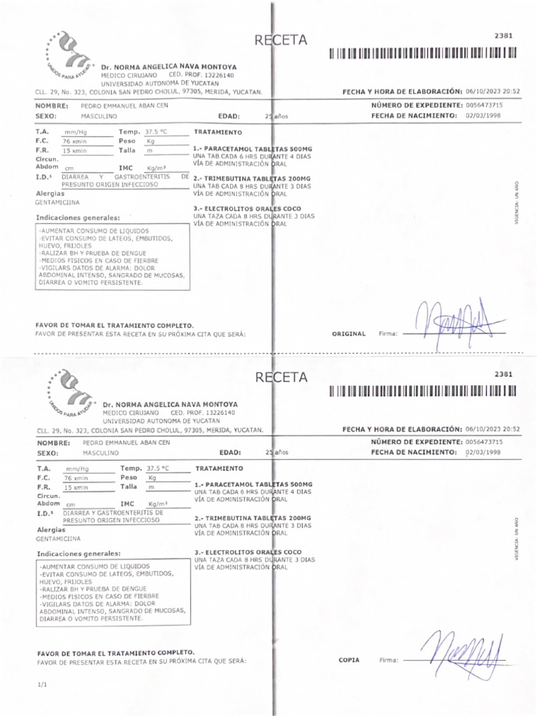 Receta Ejemplo | PDF