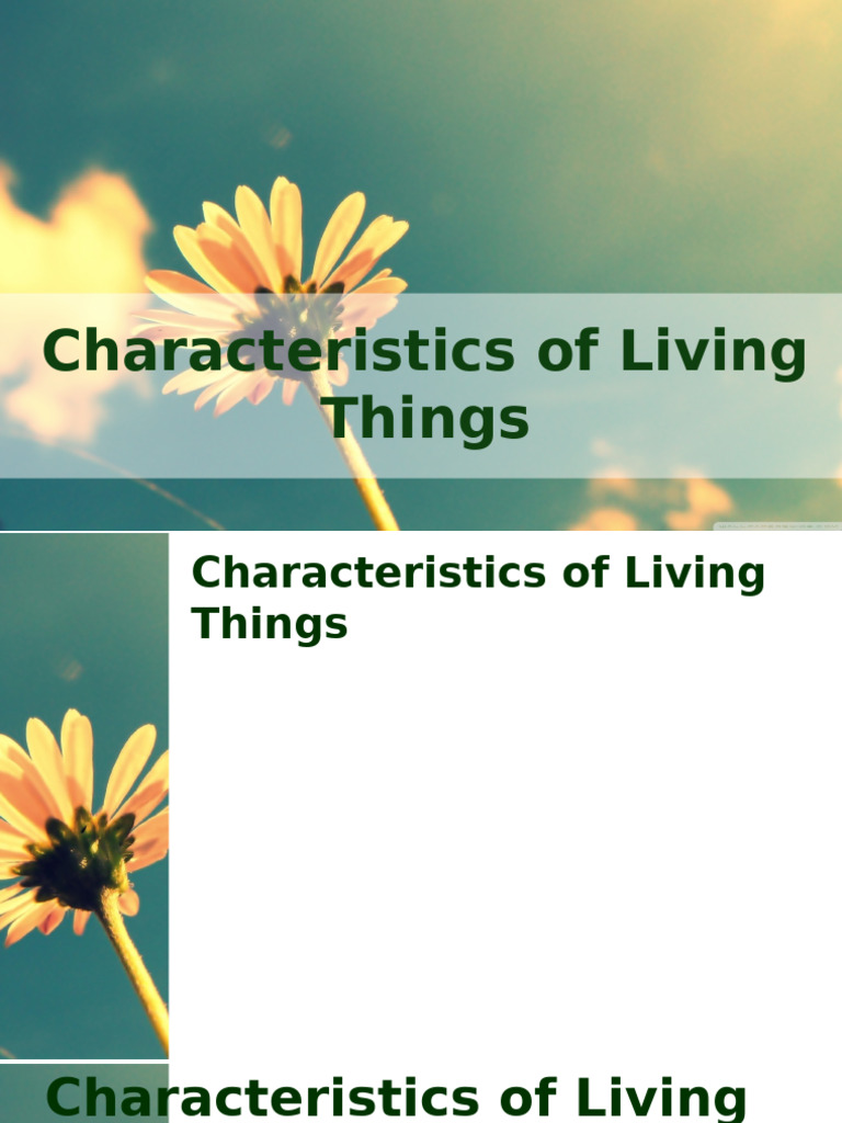 Key Traits of Living Organisms | PDF