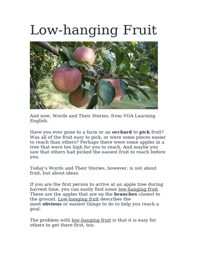 5.Low Hanging Fruit | PDF | Apple