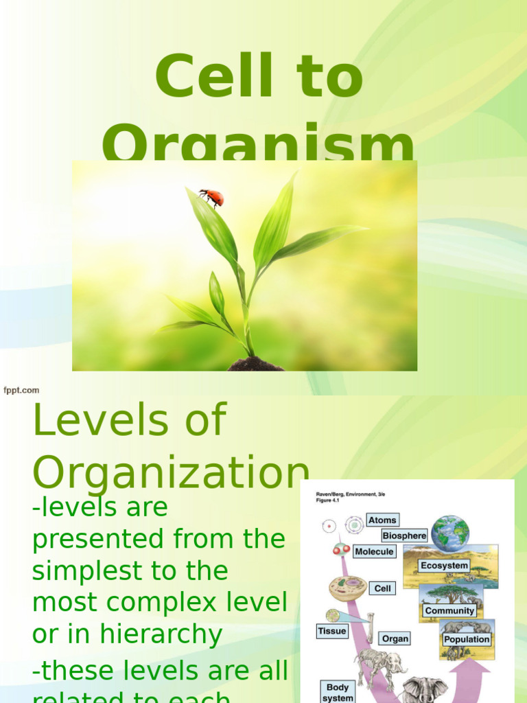 CELL TO ORGANISM | PDF | Atoms | Proton