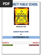 Chemistry Project On Electrochemical Cell | PDF | Redox | Electrochemistry