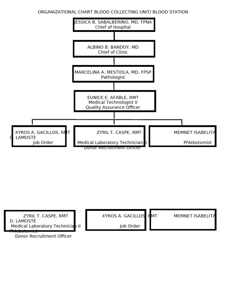 Organizational Chart Blood Collecting Unit | PDF | Self-Improvement ...