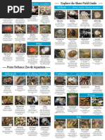 ACNH Sea Creature Prices & Sizes | PDF | Fishing Industry