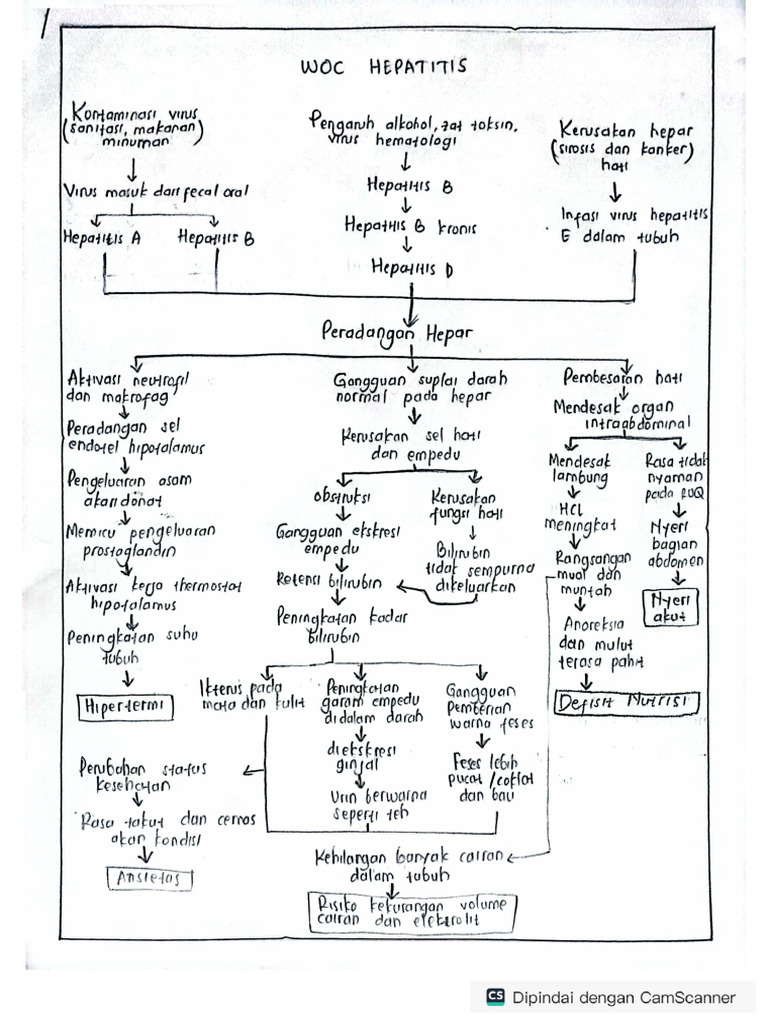Woc Hepatitis Ok | PDF