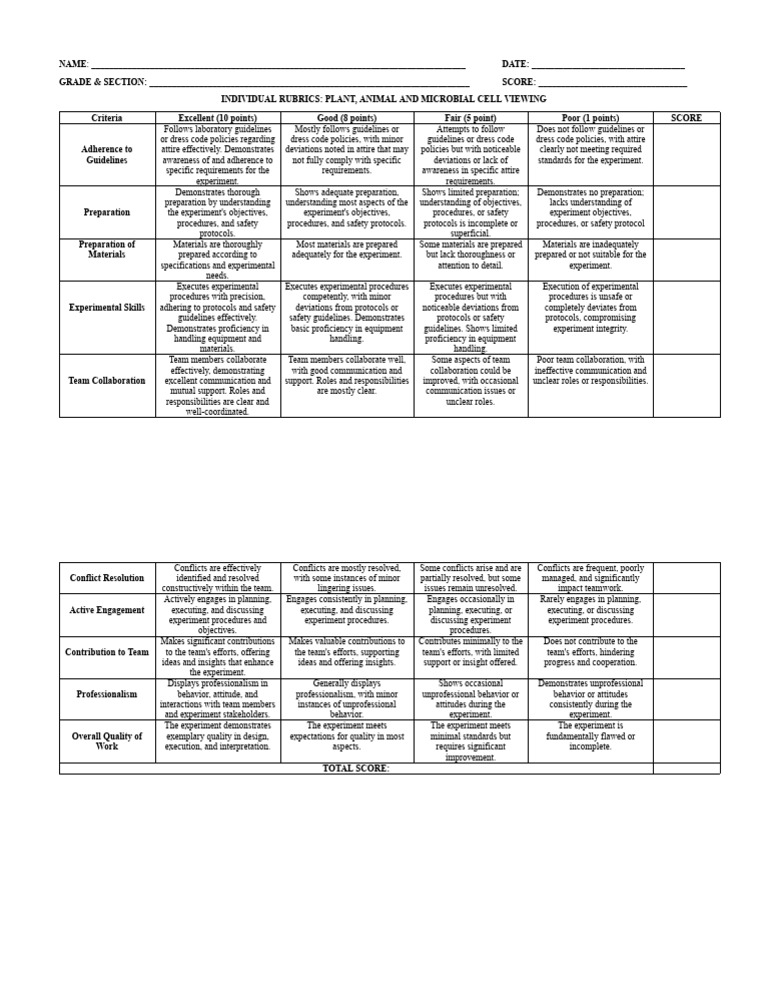 INDIVIDUAL-RUBRICS.docx | PDF | Experiment