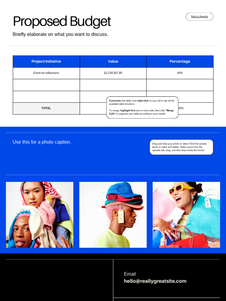 Campaign Proposal Presentation | PDF | Software